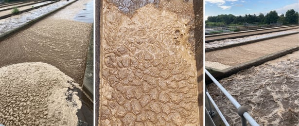 Choosing the Right Antifoam for Efficient Wastewater Treatment