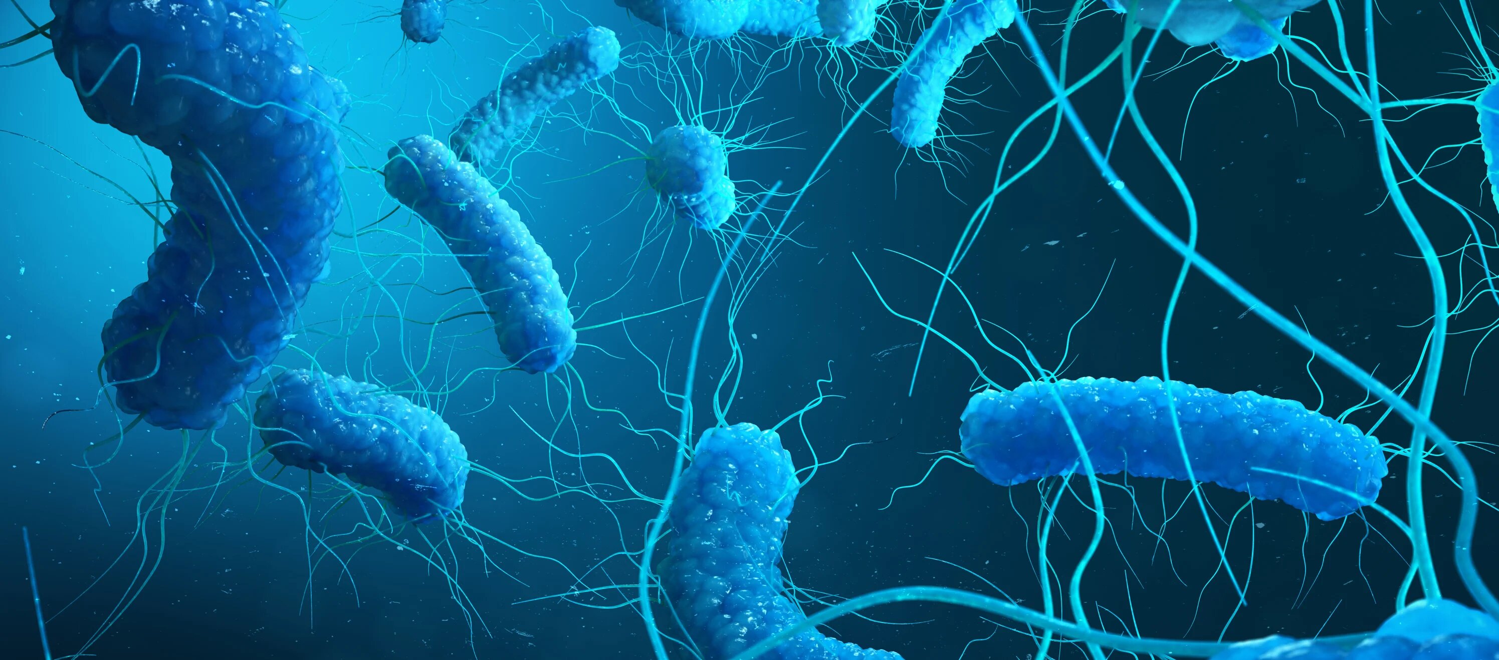 Understanding and Managing Legionella Risks in Water Systems