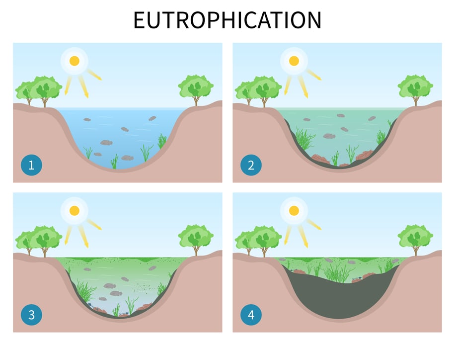 UK Phosphorus Removal in 2026 - AMP8 & Regulations